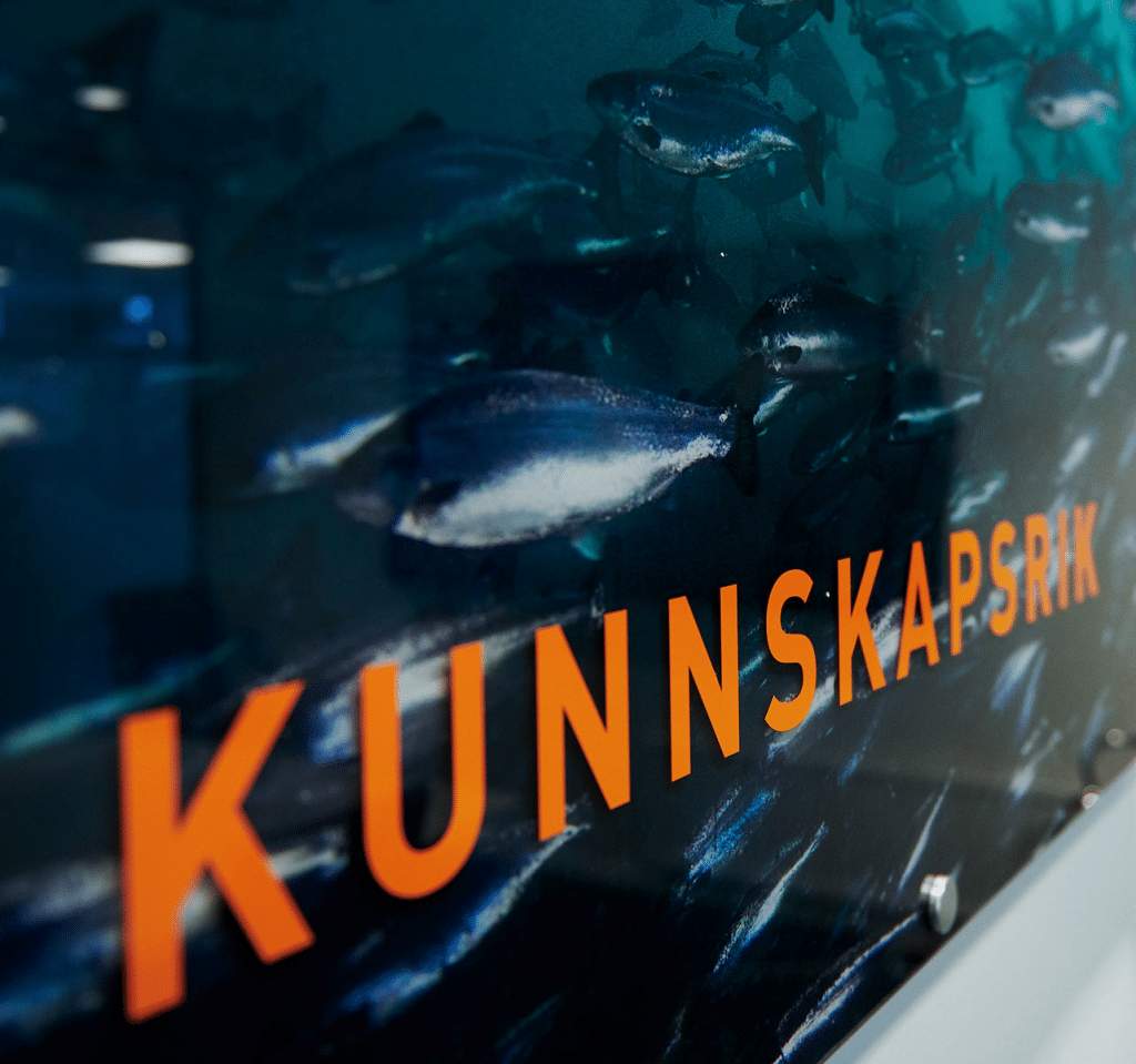 Salmon Evolution | Skilting | Reklameservice AS